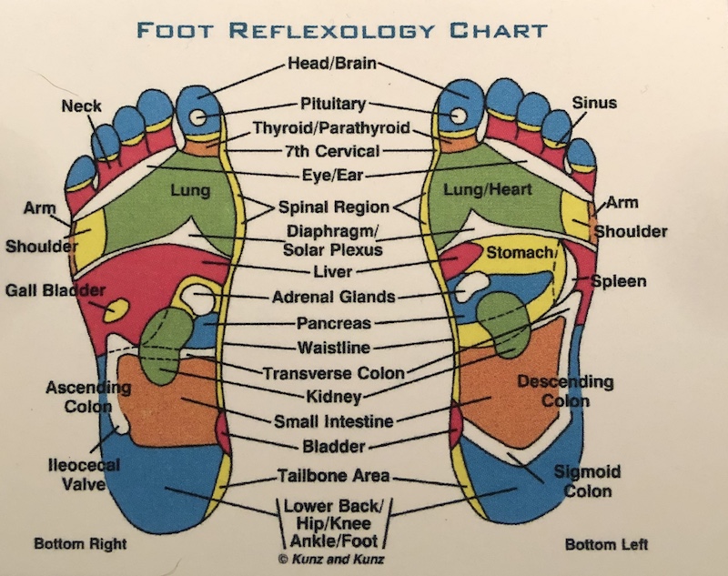 The Reiki Muse-Reflexology-chart-TRM